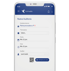 Características – Auditorias – Full Audits